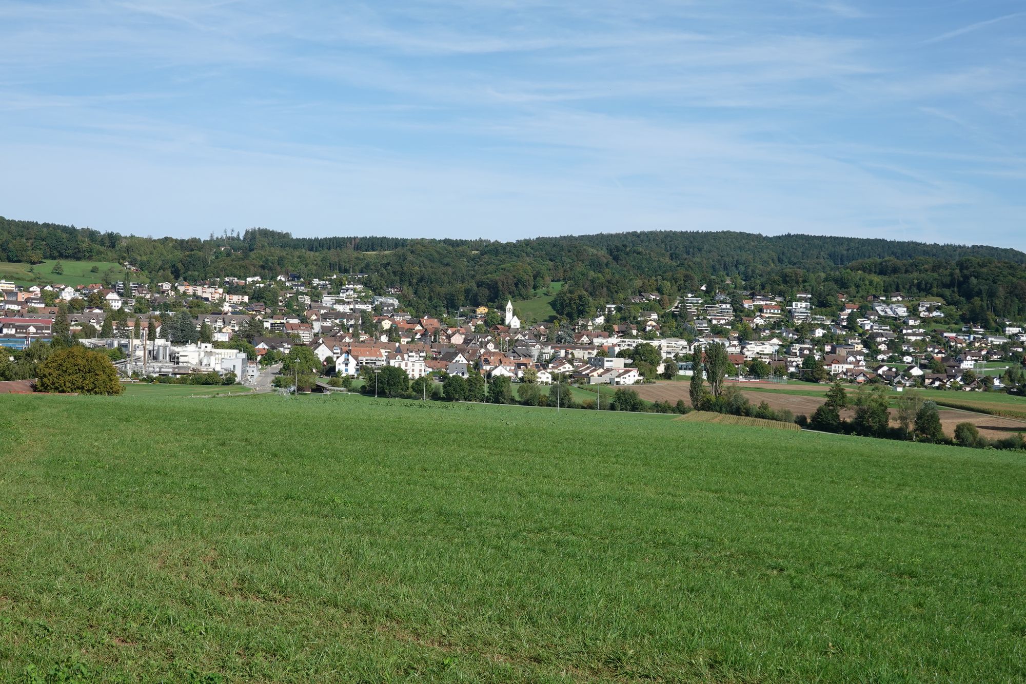 FDP.Die Liberalen Hedingen - Willkommen
